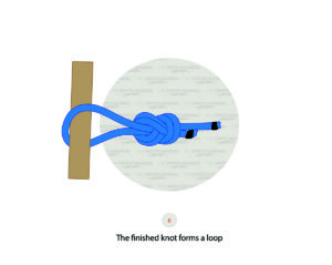 Figure 8 Follow Through Knot: Step-By-Step Guide