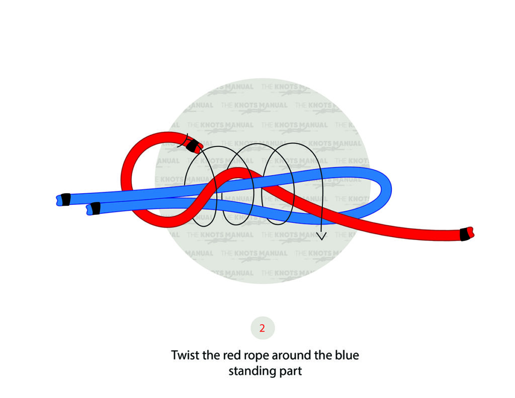 How to Tie an Albright (Special) Knot: Step-By-Step Guide