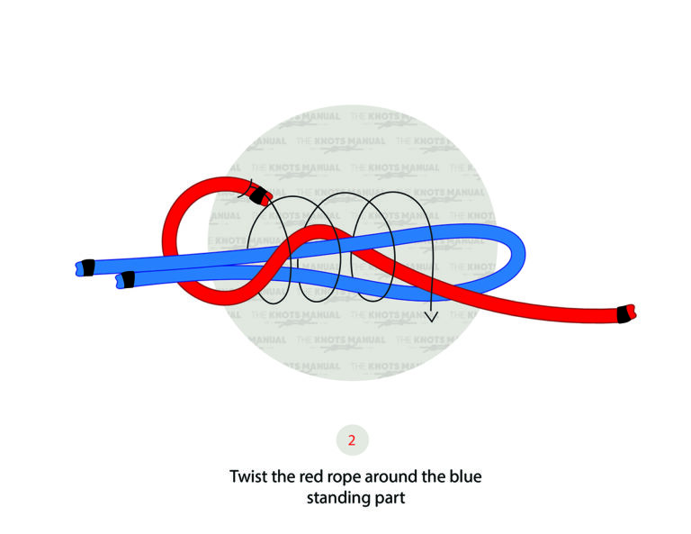 How to Tie an Albright (Special) Knot: Step-By-Step Guide