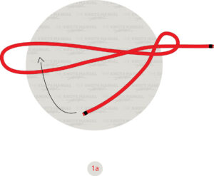 Australian Plait - The Knots Manual