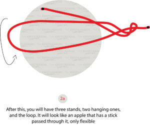 Australian Plait - The Knots Manual