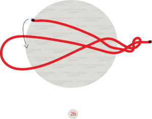 Australian Plait - The Knots Manual