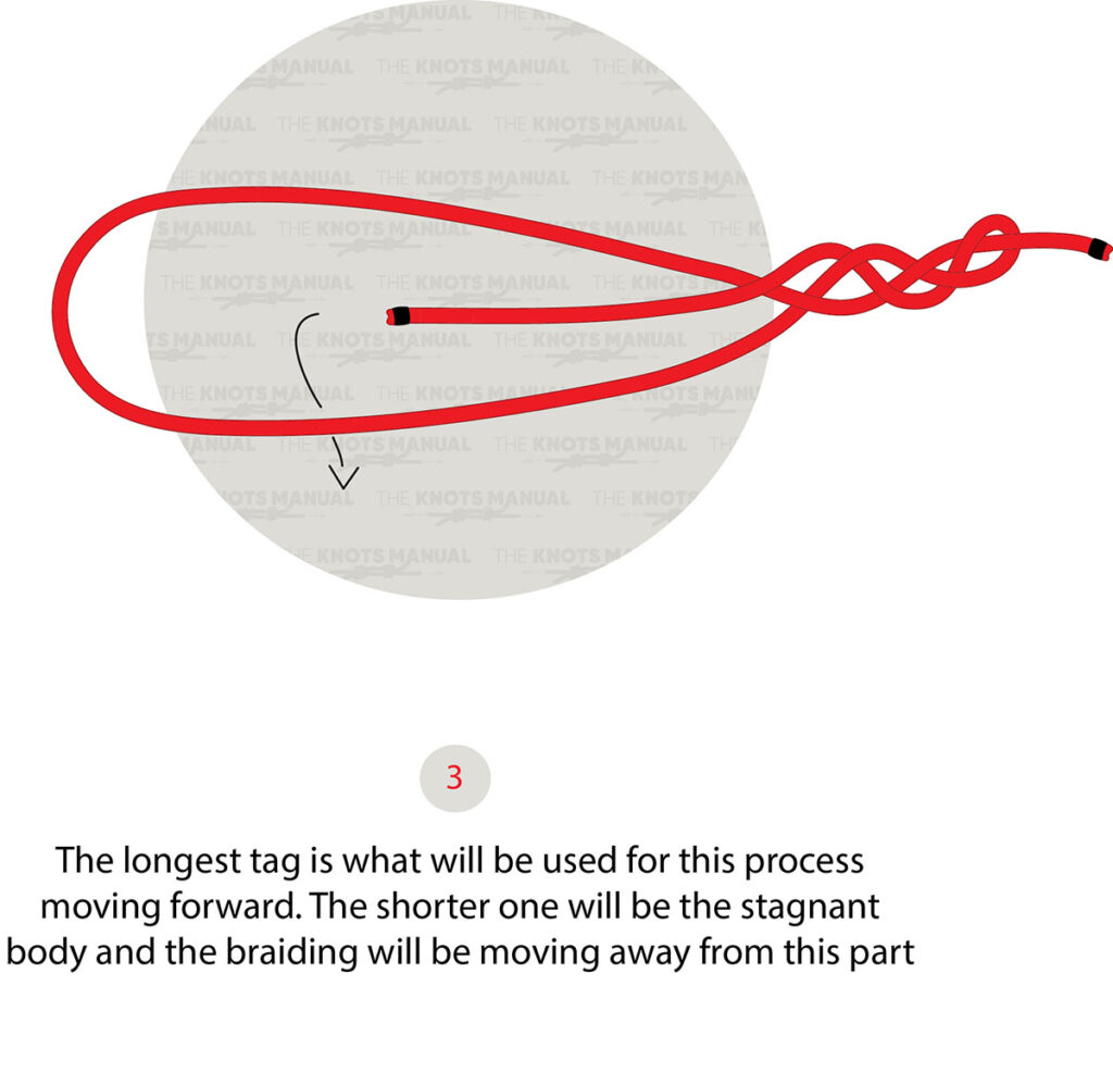 Australian Plait - The Knots Manual