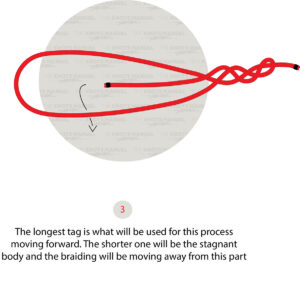 Australian Plait - The Knots Manual