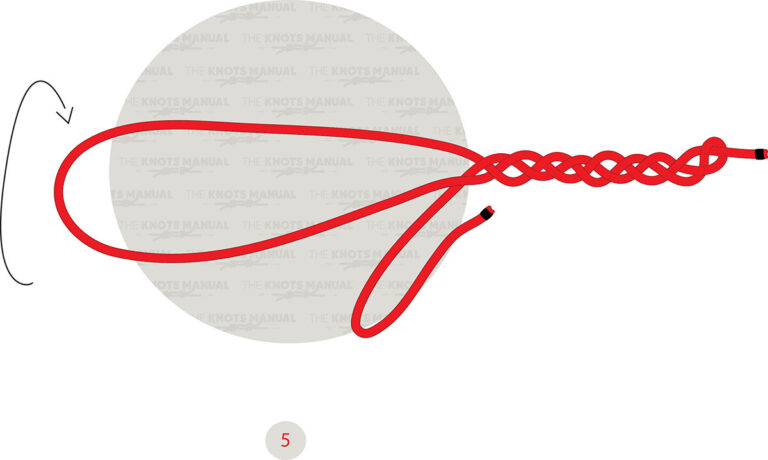 Australian Plait - The Knots Manual