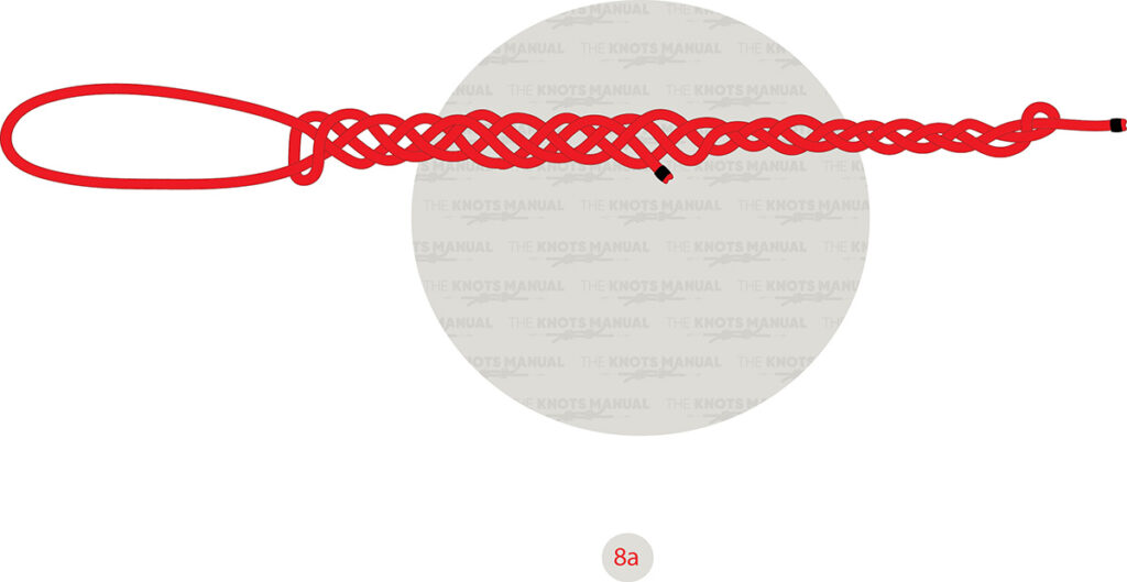 Australian Plait - The Knots Manual