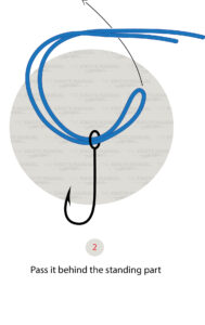 Double Palomar Knot - The Knots Manual