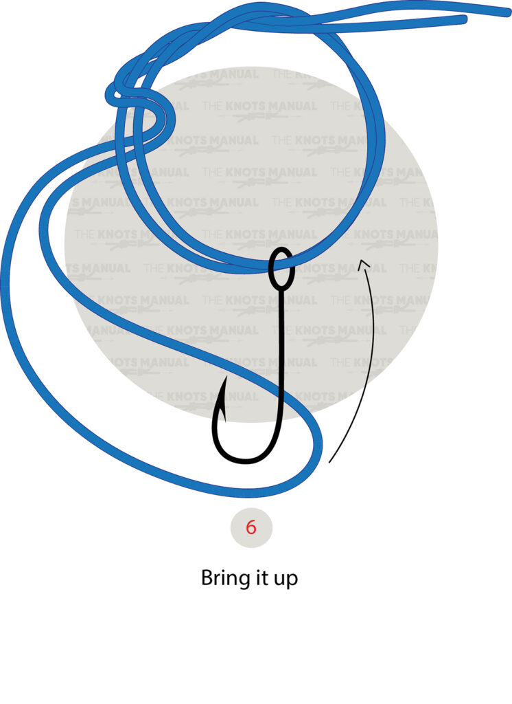 Double Palomar Knot - The Knots Manual
