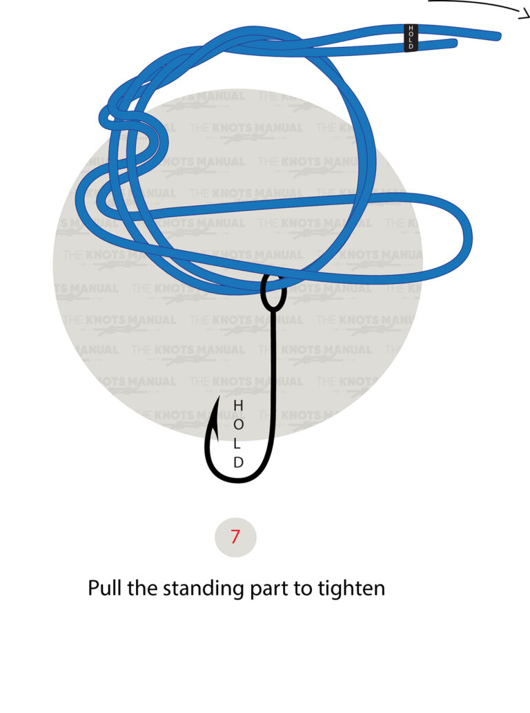 Double Palomar Knot - The Knots Manual