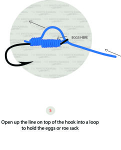 How to Tie an Egg Loop Knot - The Knots Manual