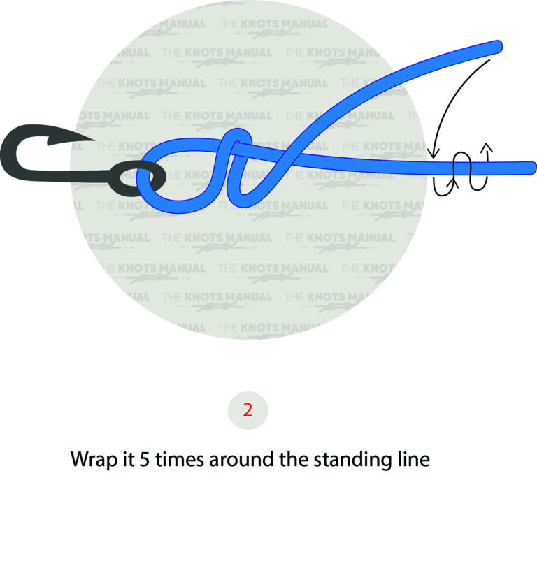 How to Tie the Improved Clinch Knot: Step-By-Step Guide