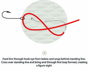 How to Tie the Orvis Knot: Illustrated Guide