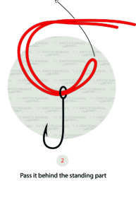 How to Tie the Palomar Knot (Illustrated Guide)