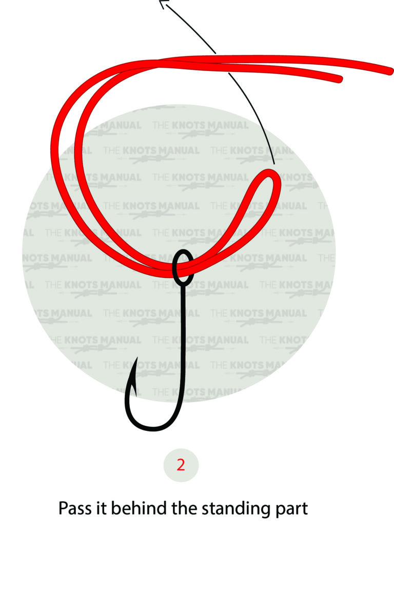 How to Tie the Palomar Knot (Illustrated Guide)