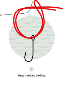 How to Tie the Palomar Knot (Illustrated Guide)