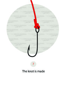 How to Tie the Palomar Knot (Illustrated Guide)
