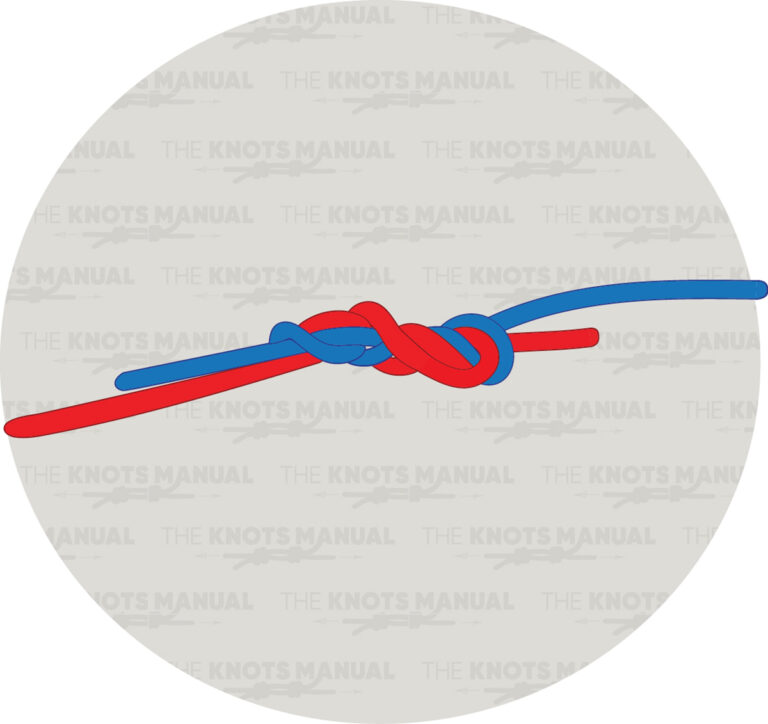 32 Essential Fishing Knots Every Angler Should Know - The Knots Manual