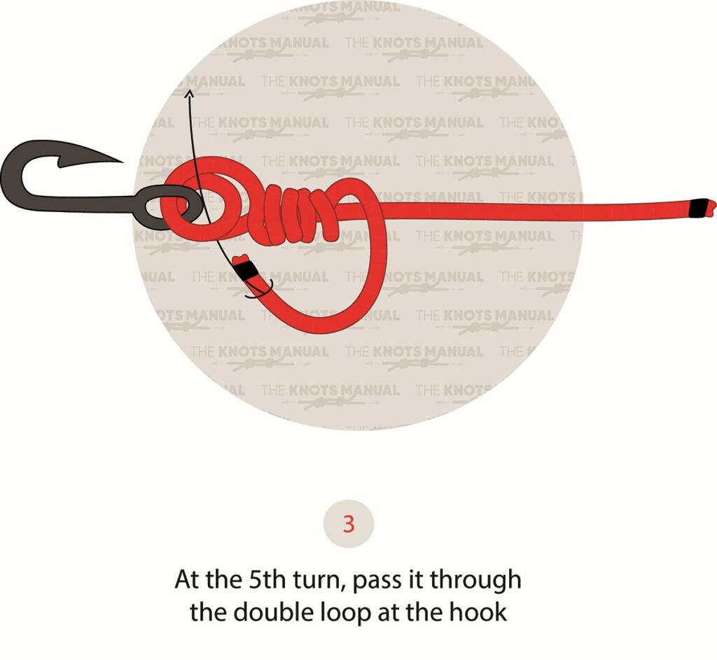 How to Tie the Trilene Knot (Illustrated Guide)