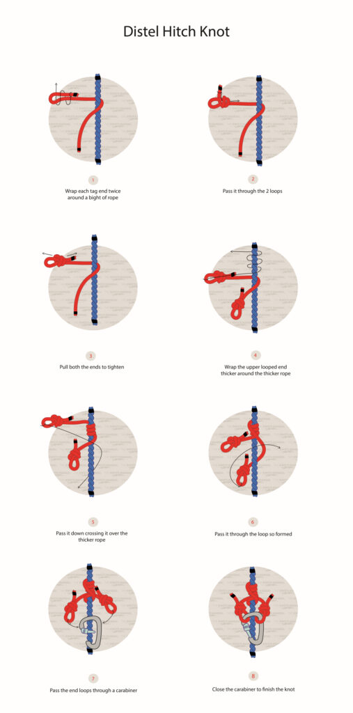 How to Tie a Distel Hitch Knot (Step-By-Step Illustrations)