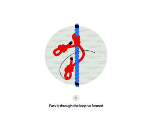 How to Tie a Distel Hitch Knot (Step-By-Step Illustrations)