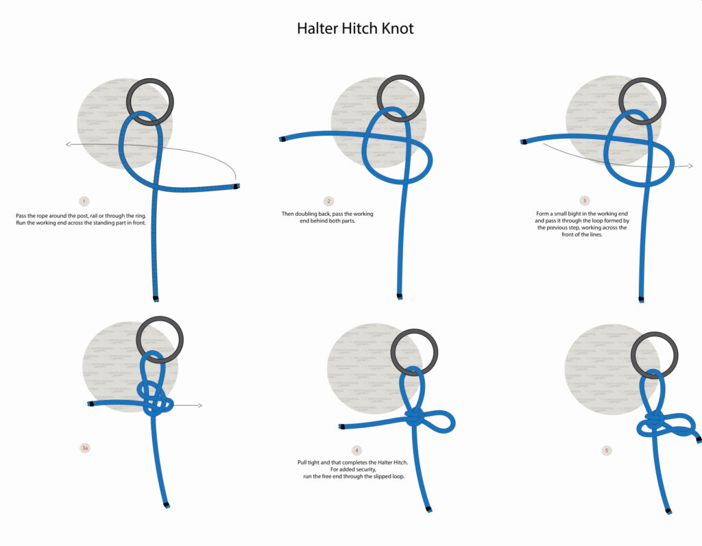 How to Tie a Halter Hitch Knot: Illustrated Guide