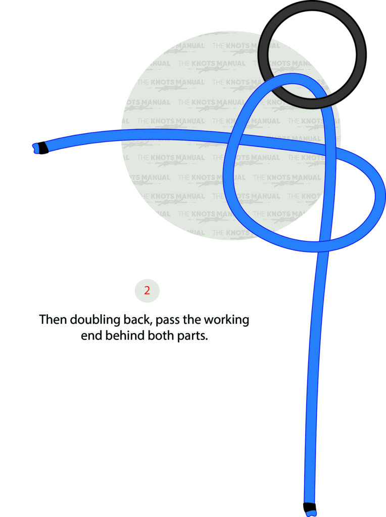 How to Tie a Halter Hitch Knot: Illustrated Guide
