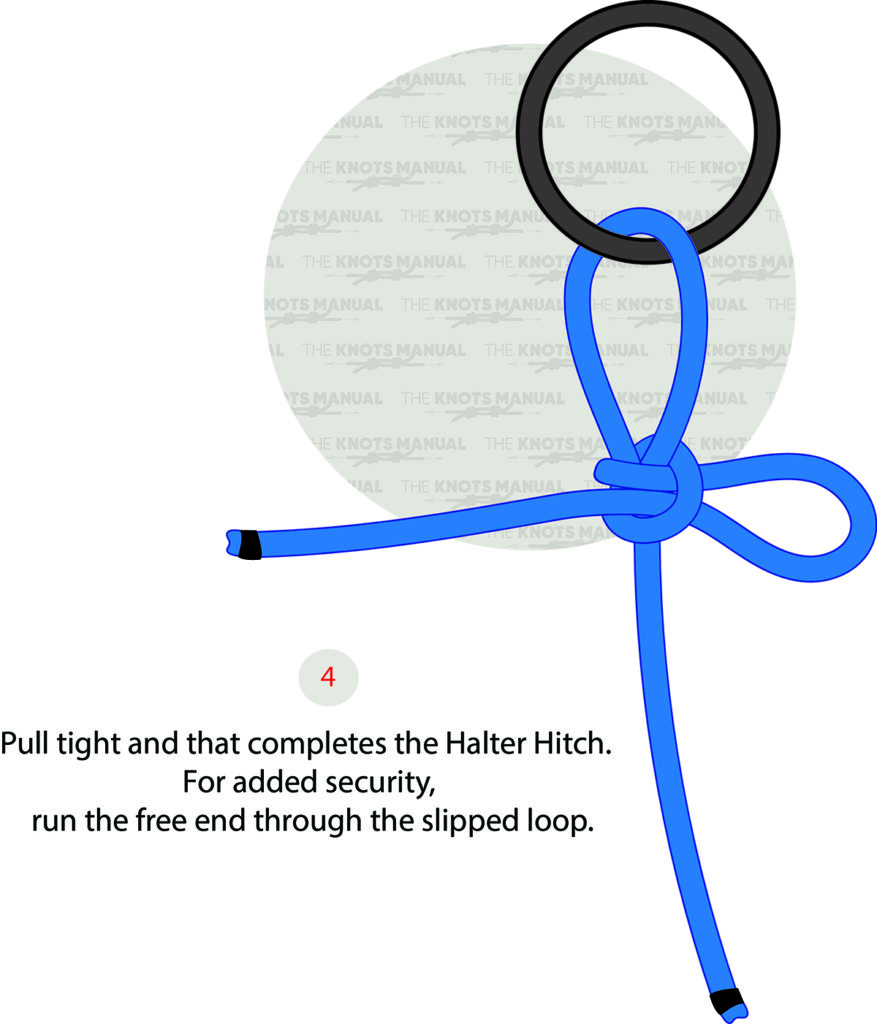 How to Tie a Halter Hitch Knot: Illustrated Guide