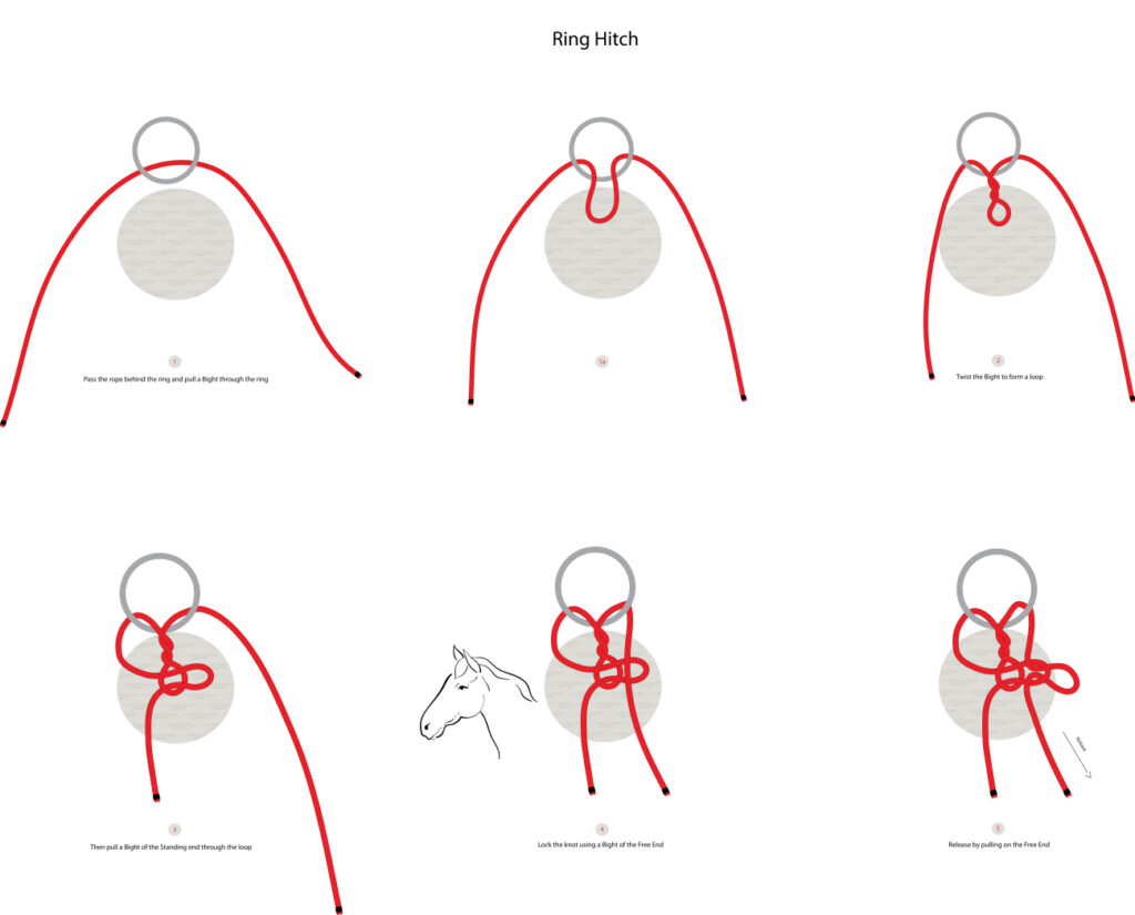 Ring Hitch - The Knots Manual