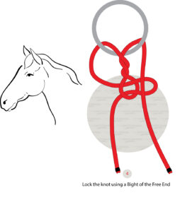 Ring Hitch - The Knots Manual