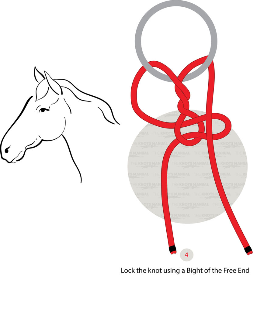 Ring Hitch - The Knots Manual