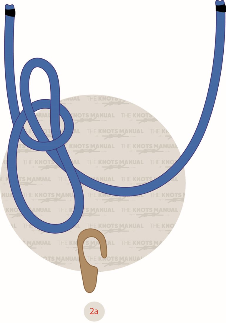 How to Tie a (Quick Release) Trucker's Hitch Knot