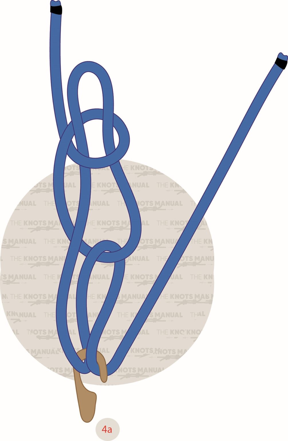 How to Tie a (Quick Release) Trucker's Hitch Knot