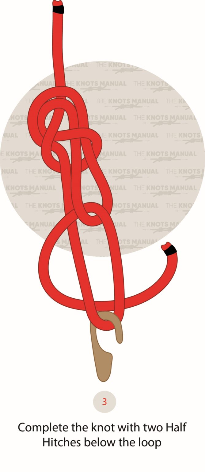 How to Tie the Trucker's Hitch Knot (Lorry Hitch)