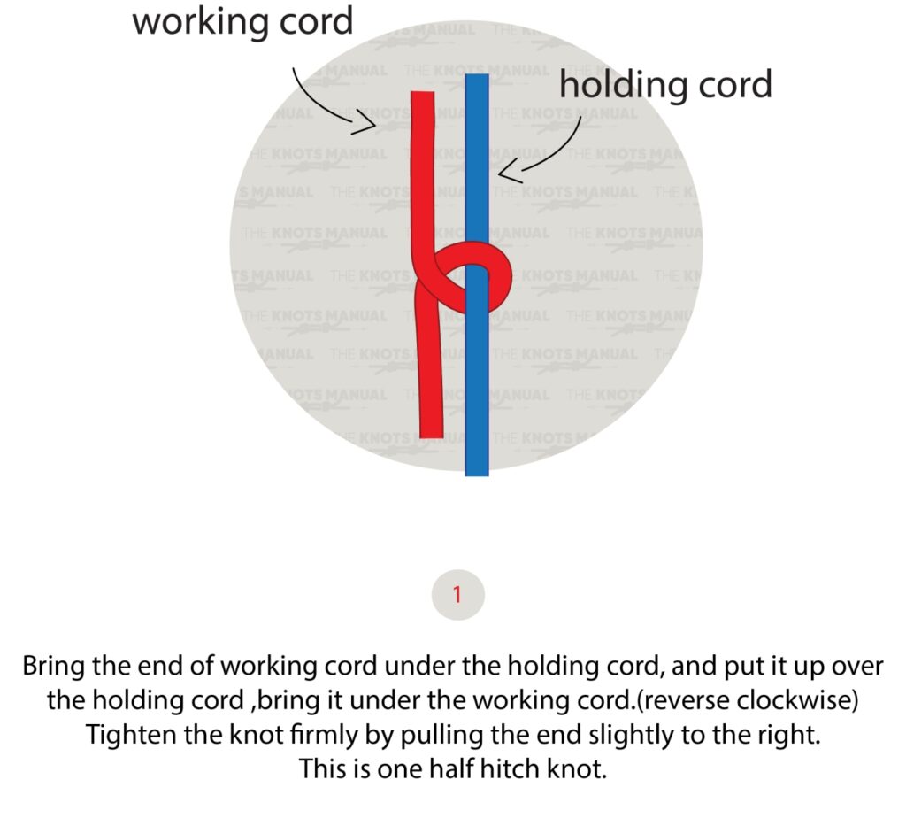 Vertical Half-Hitch Knot - The Knots Manual