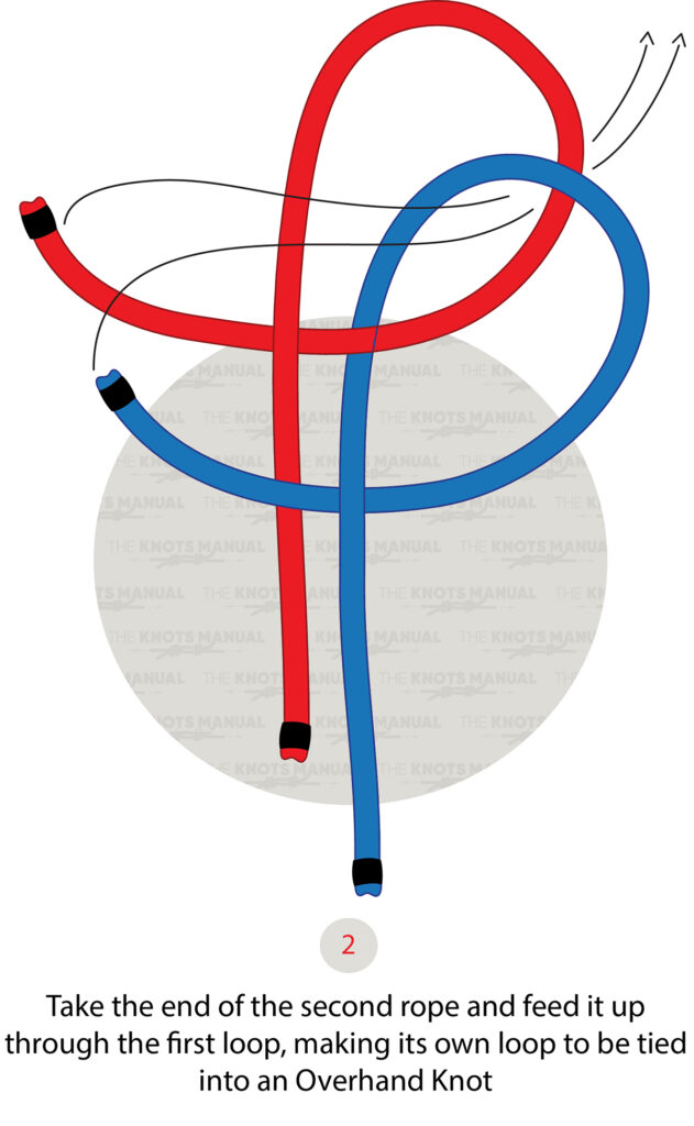 Ashley Bend Knot - The Knots Manual