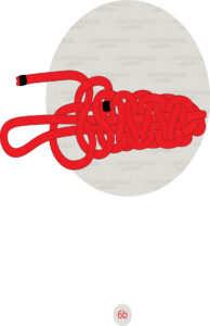 Cobra Lanyard Knot - The Knots Manual