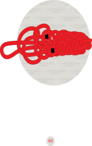 Cobra Lanyard Knot - The Knots Manual