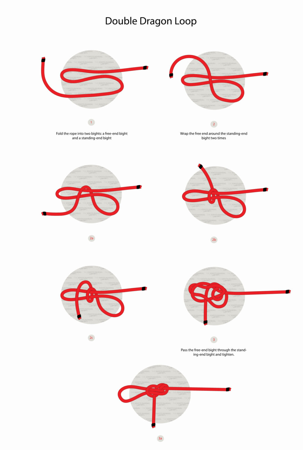 How to Tie the Double Dragon Loop: Illustrated Guide