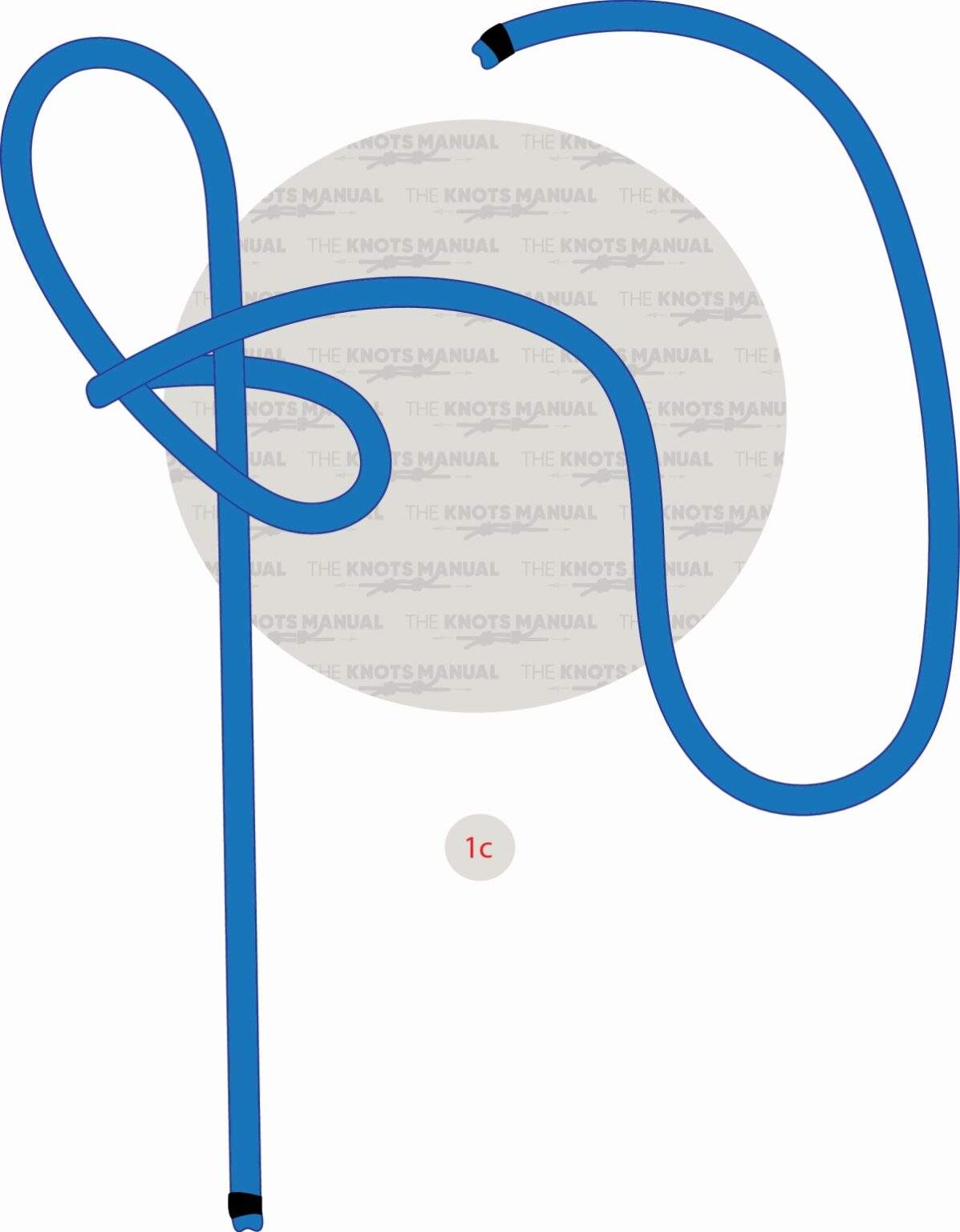 How to Tie the EStar Stopper Knot (Quick Guide)