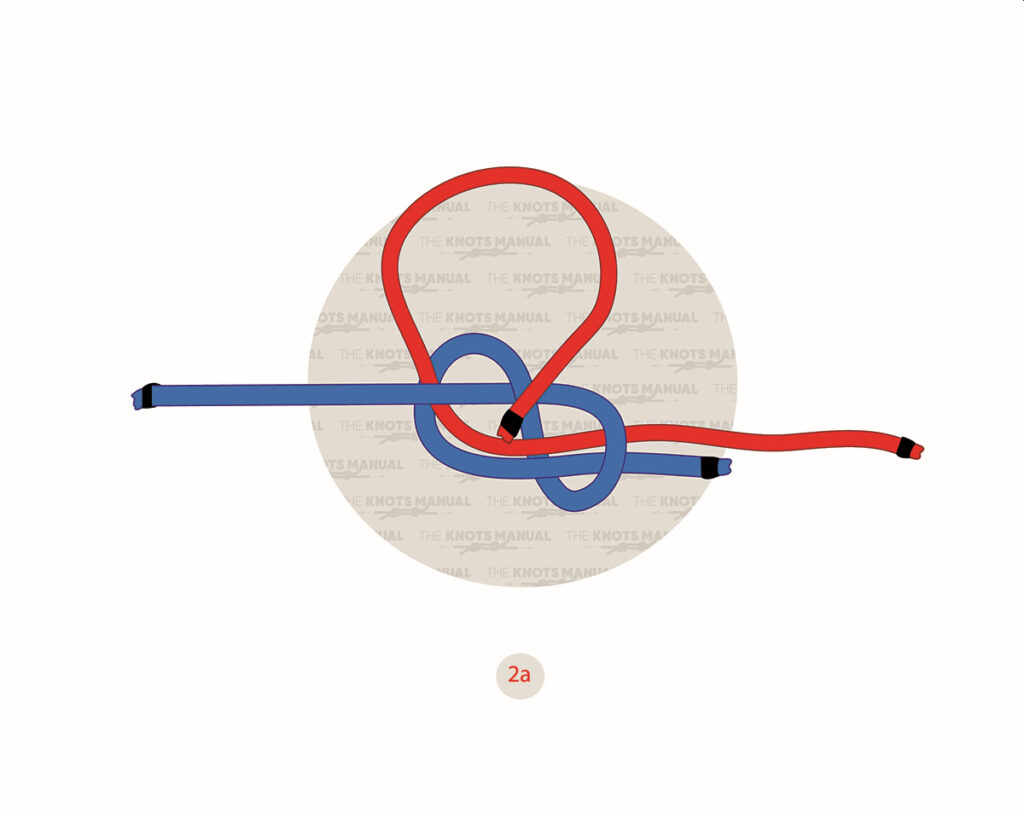 How to Tie a Figure 8 Bend Knot (Flemish Bend)