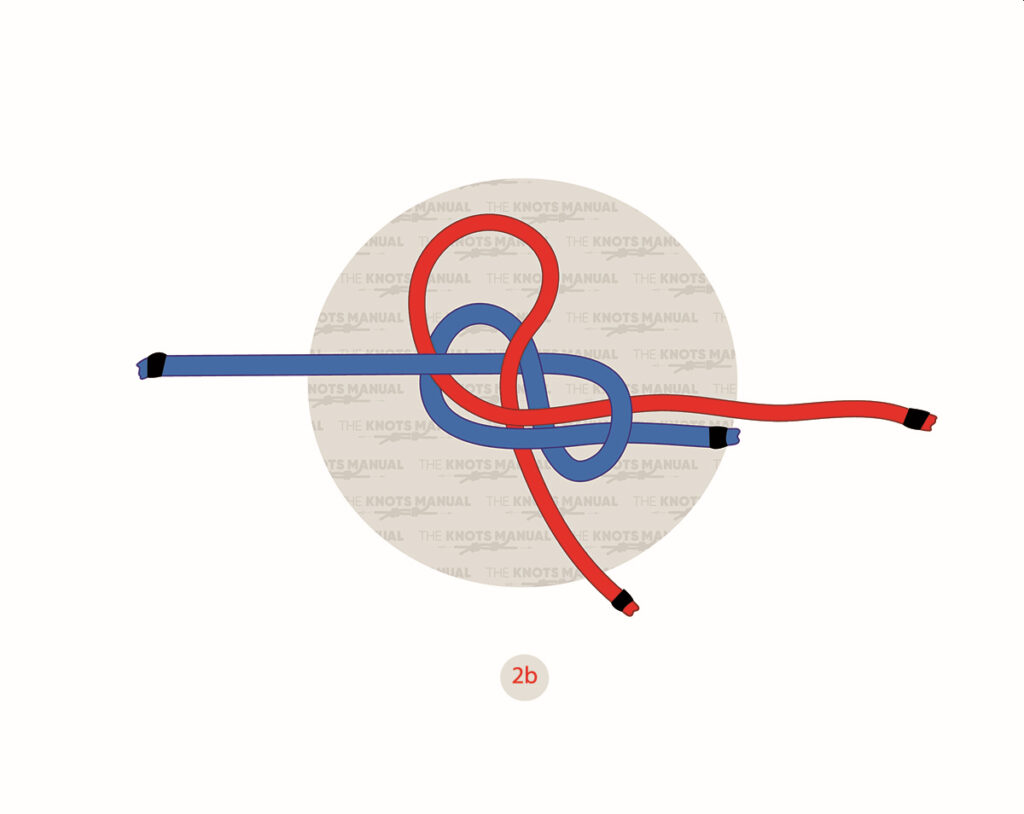 How to Tie a Figure 8 Bend Knot (Flemish Bend)