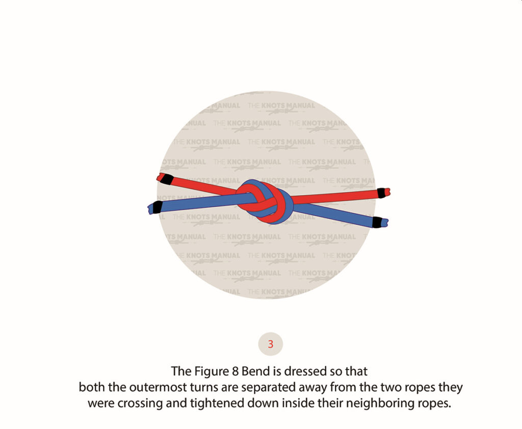 How to Tie a Figure 8 Bend Knot (Flemish Bend)