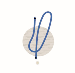 How to Tie a Directional (Inline) Figure 8 Loop Knot