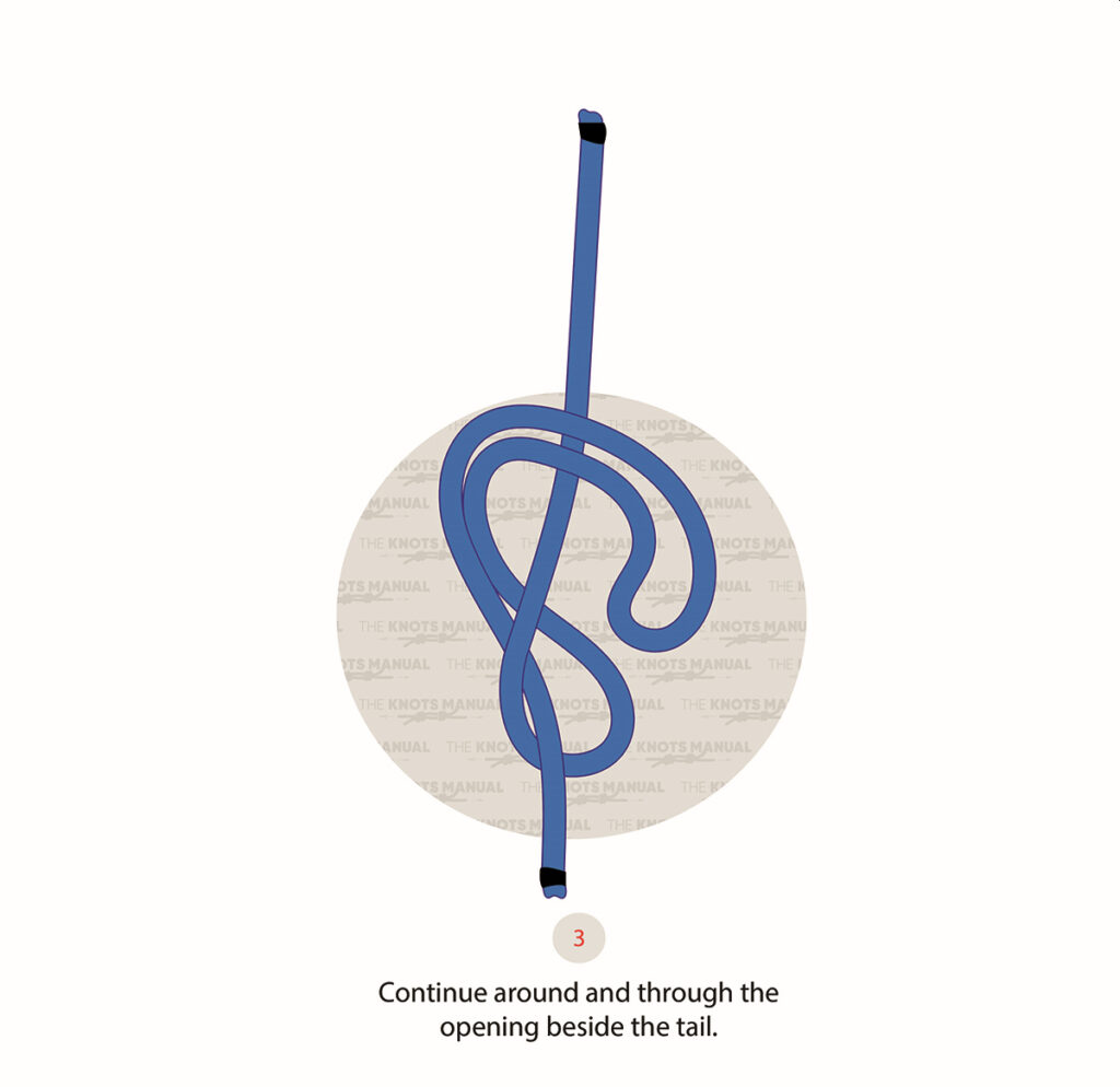 How to Tie a Directional (Inline) Figure 8 Loop Knot How to Tie a Directional (Inline) Figure 8 Loop Knot