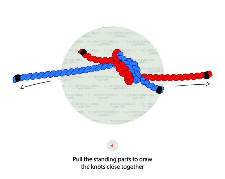 32 Essential Fishing Knots Every Angler Should Know - The Knots Manual