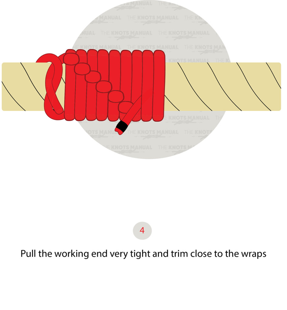 French Whipping Knot - The Knots Manual