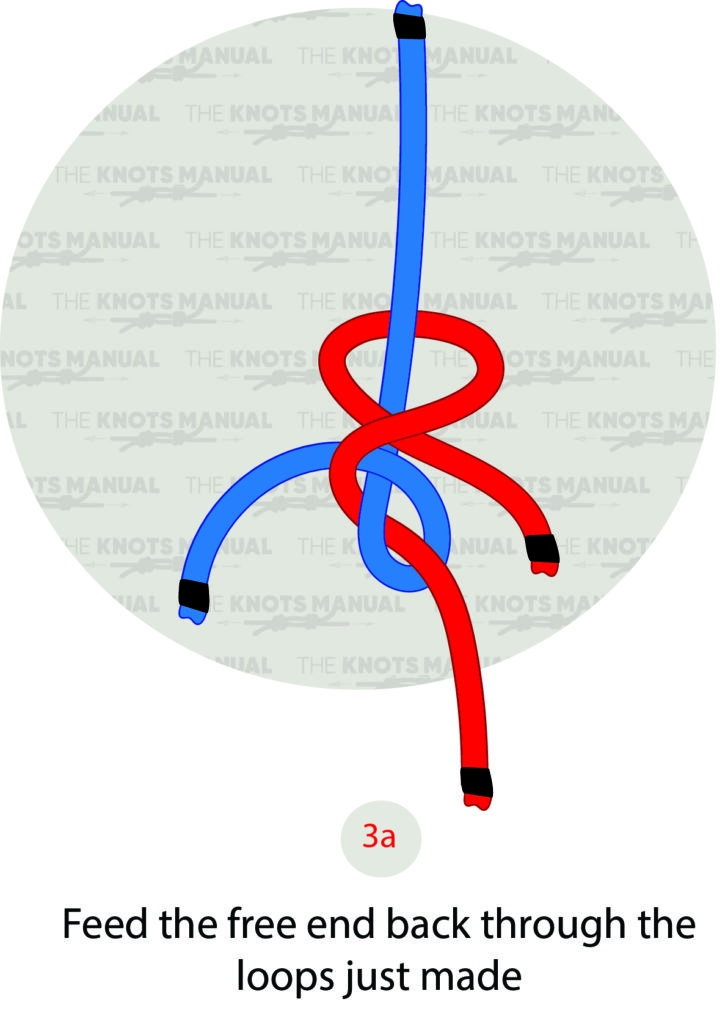 Illustrated Guide: How to Tie the Harness Bend Knot