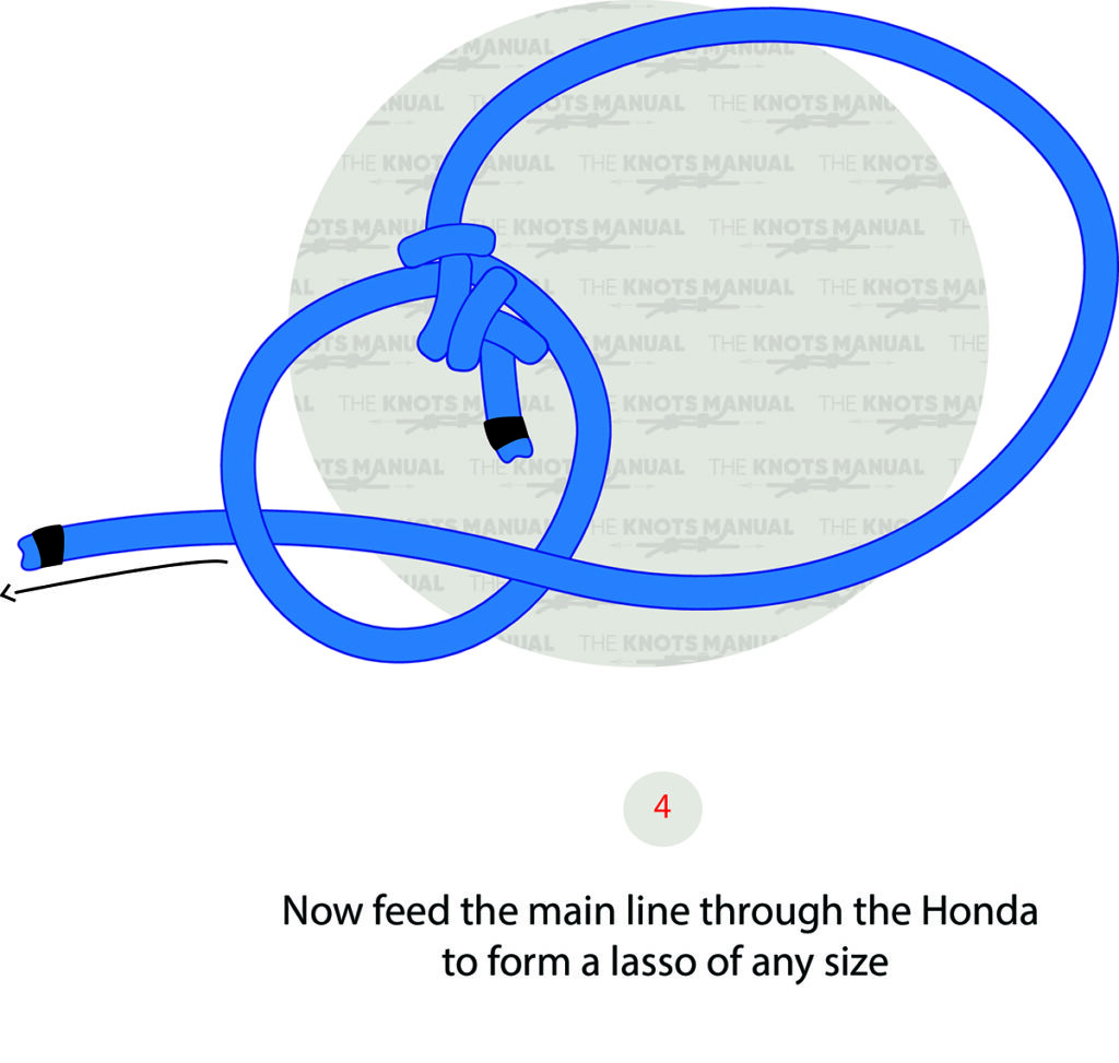 Illustrated Guide: How to Tie a Lasso (Honda Knot)