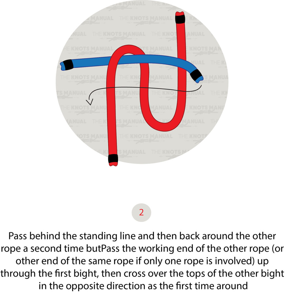 Japanese Square Knot - The Knots Manual