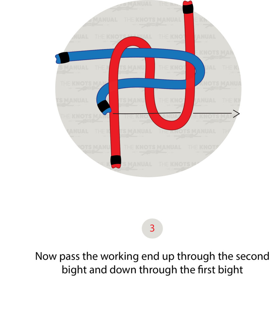 Japanese Square Knot - The Knots Manual